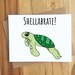 Shellabrate Turtle Pun Greeting Card / Celebrate Celebration / - Etsy