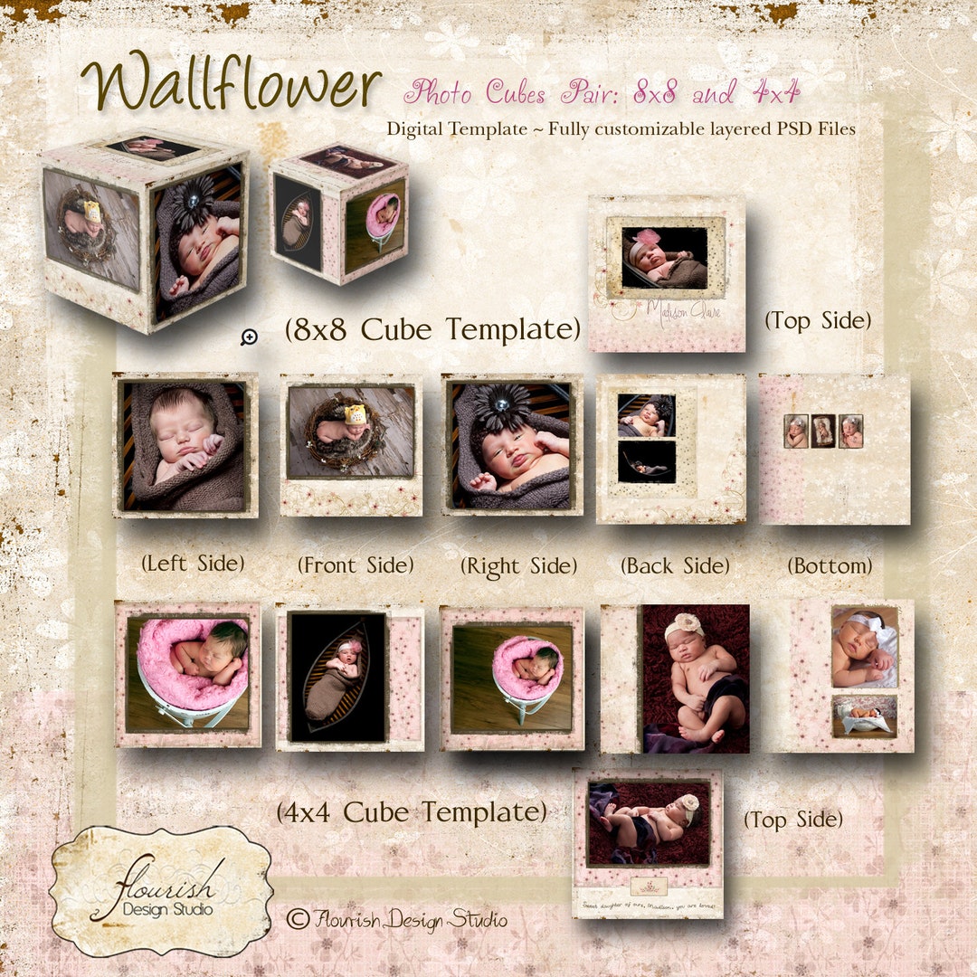 Photo Cube Templates for Photographers - Wallflower Cube (8x8 & 4x4 ...