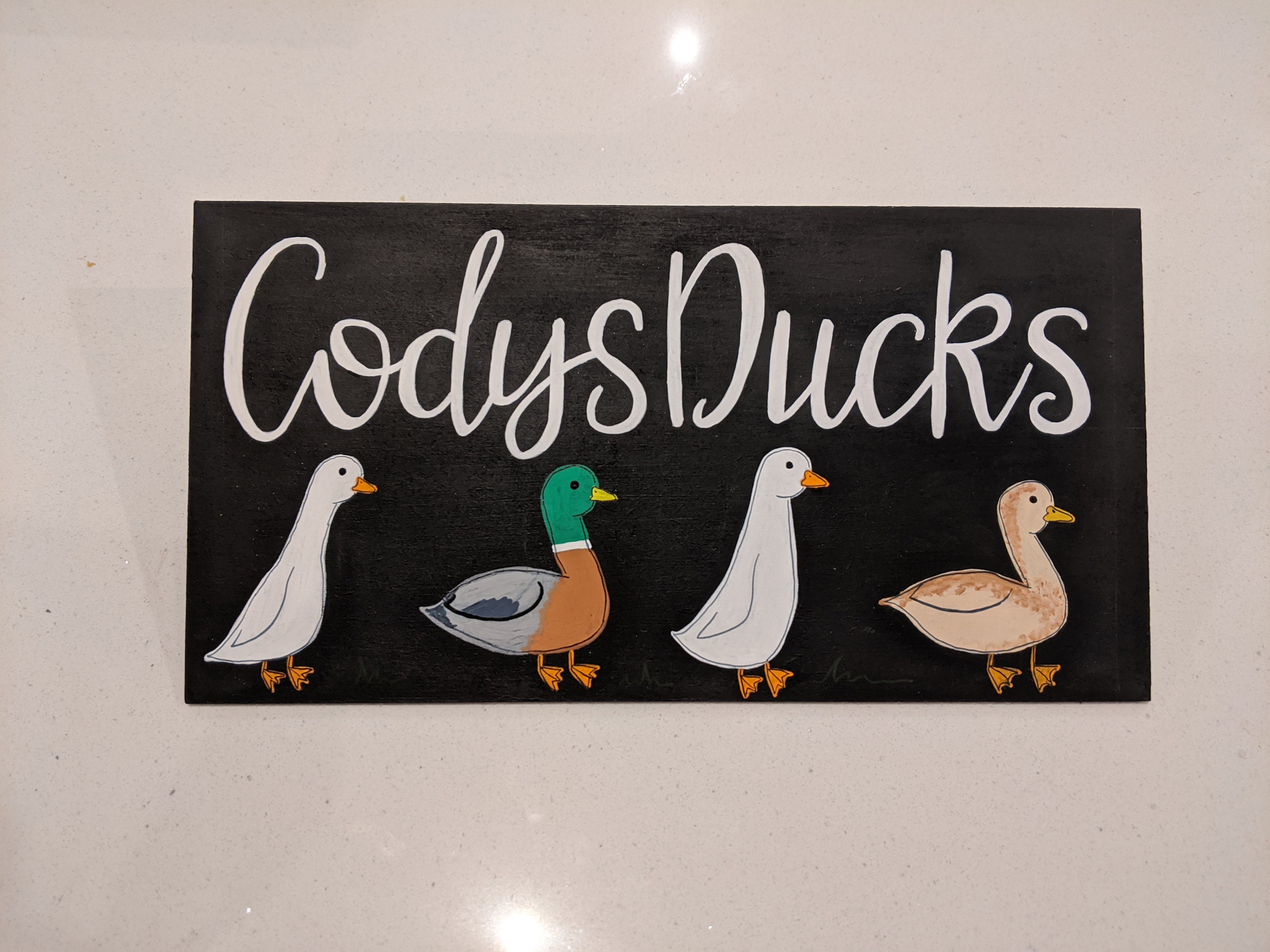 Personalised Duck House Sign Lakehouse Duck coop | Etsy