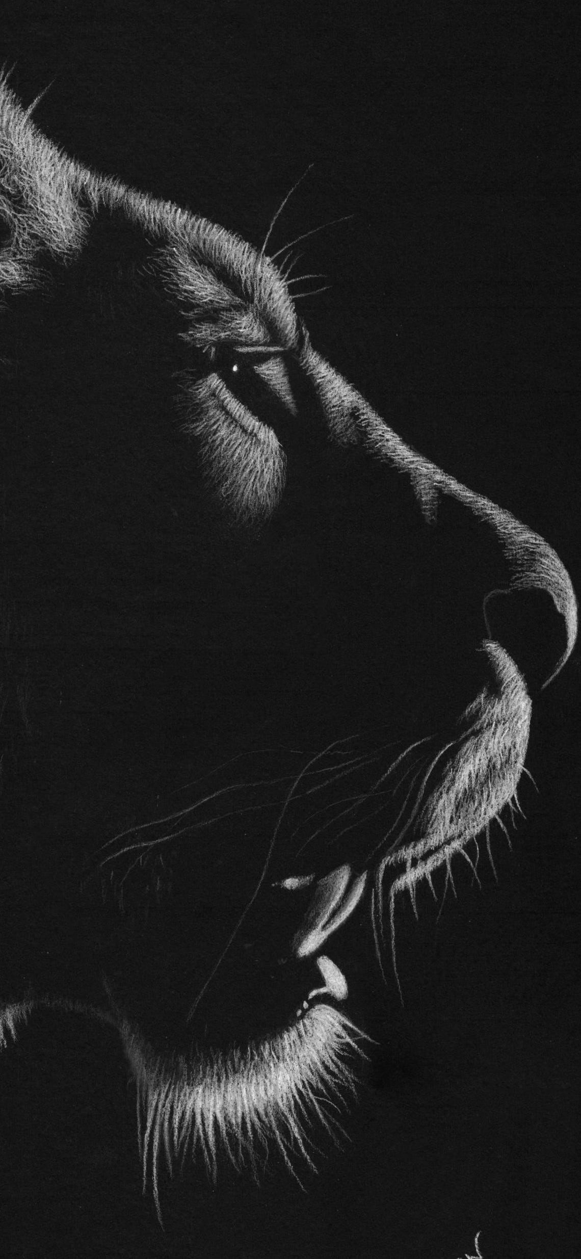 Lioness in Shadow, Lioness, Original Lioness Drawing, Wildlife ...