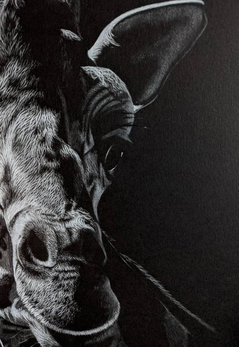 Giraffe, Original Giraffe Drawing, Wildlife, Wildlife Drawing, Giraffe ...