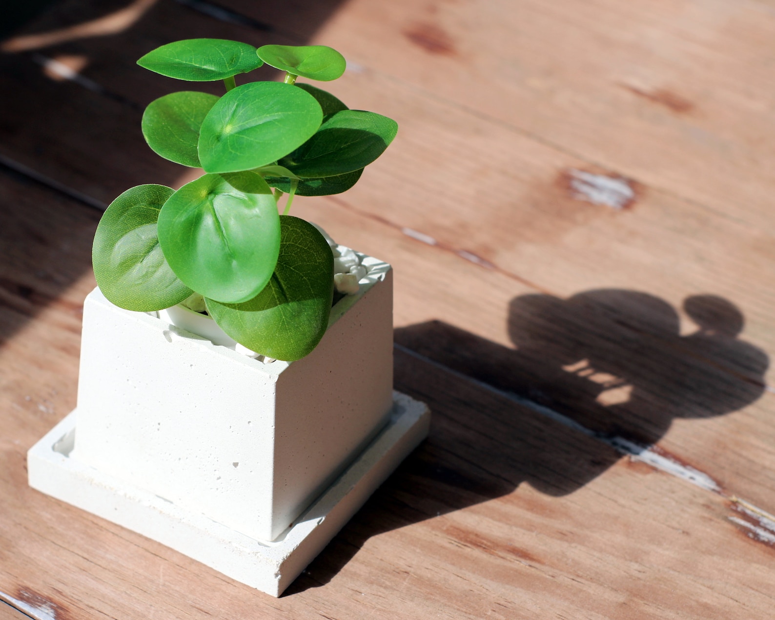 Small Square Concrete Planter With Base Square Pot Natural | Etsy