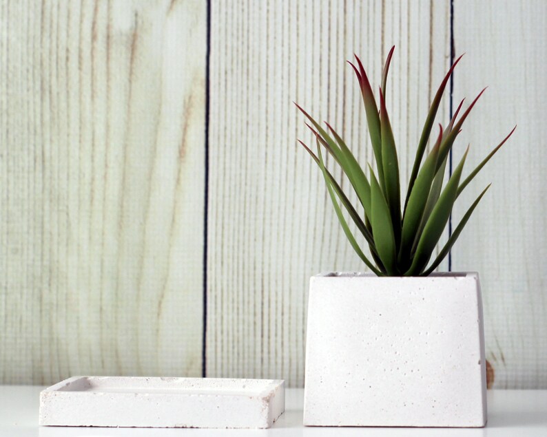 Small Square Concrete Planter With Base Square Pot Natural | Etsy