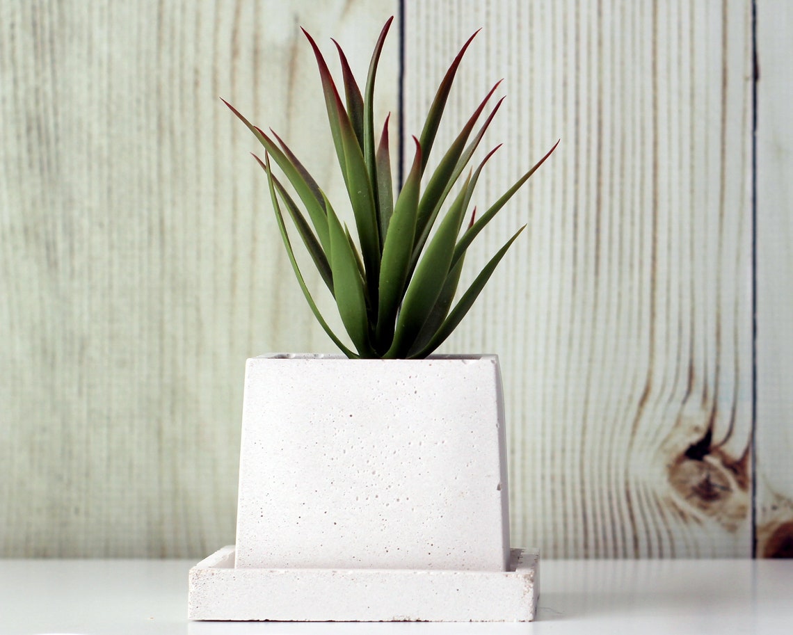 Small Square Concrete Planter With Base Square Pot Natural - Etsy