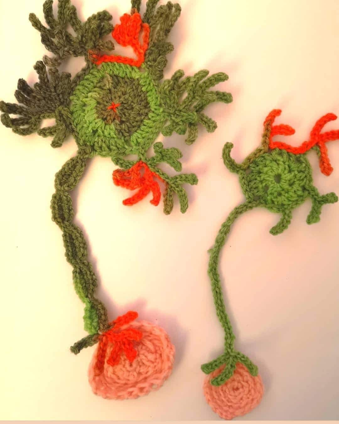 Crocheted Normal Neuron Versus ALS Neuron, Science Crochet, Crocheted ...