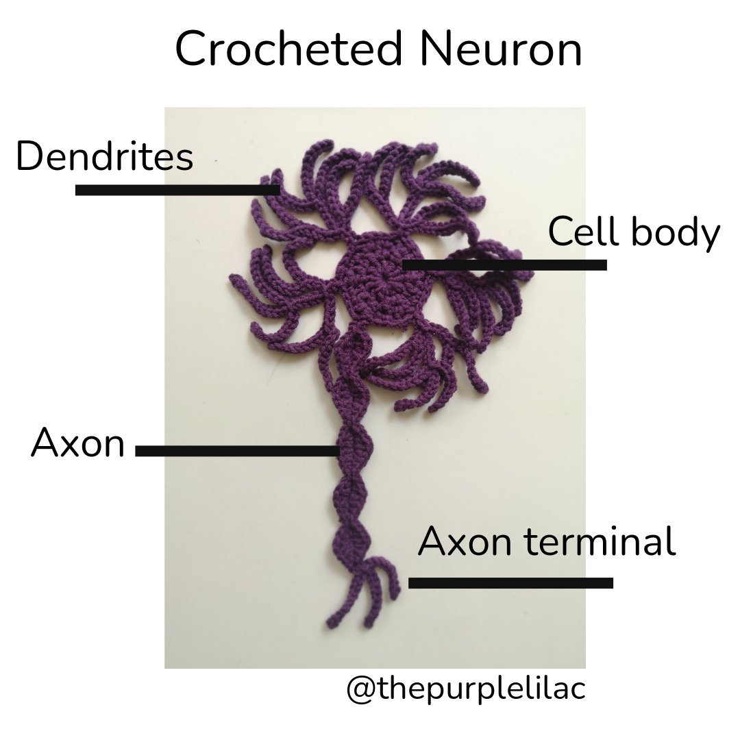 Neuron Crochet Pattern - Etsy