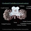 Crocheted Liver Pattern, Crochet Pattern, Liver, Pdf Pattern, Crocheted ...