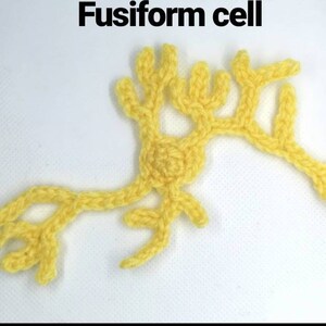 Crocheted Cortical Neurons, Crochet, Neuroscience, Crocheted Neurons ...