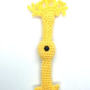 Crocheted Retinal Cells, Crocheted Eye, Photoreceptors,crochet Pattern ...