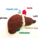 Crocheted Liver Pattern, Crochet Pattern, Liver, Pdf Pattern, Crocheted ...
