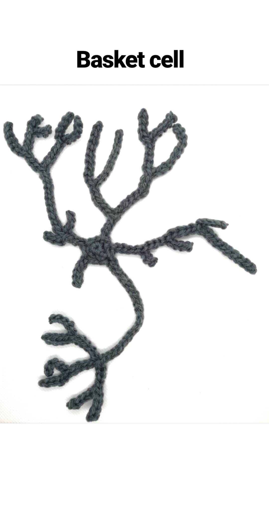 Crocheted Cortical Neurons, Crochet, Neuroscience, Crocheted Neurons ...