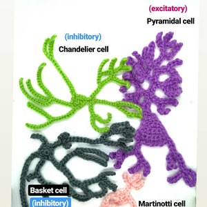 Crocheted Cortical Neurons, Crochet, Neuroscience, Crocheted Neurons ...