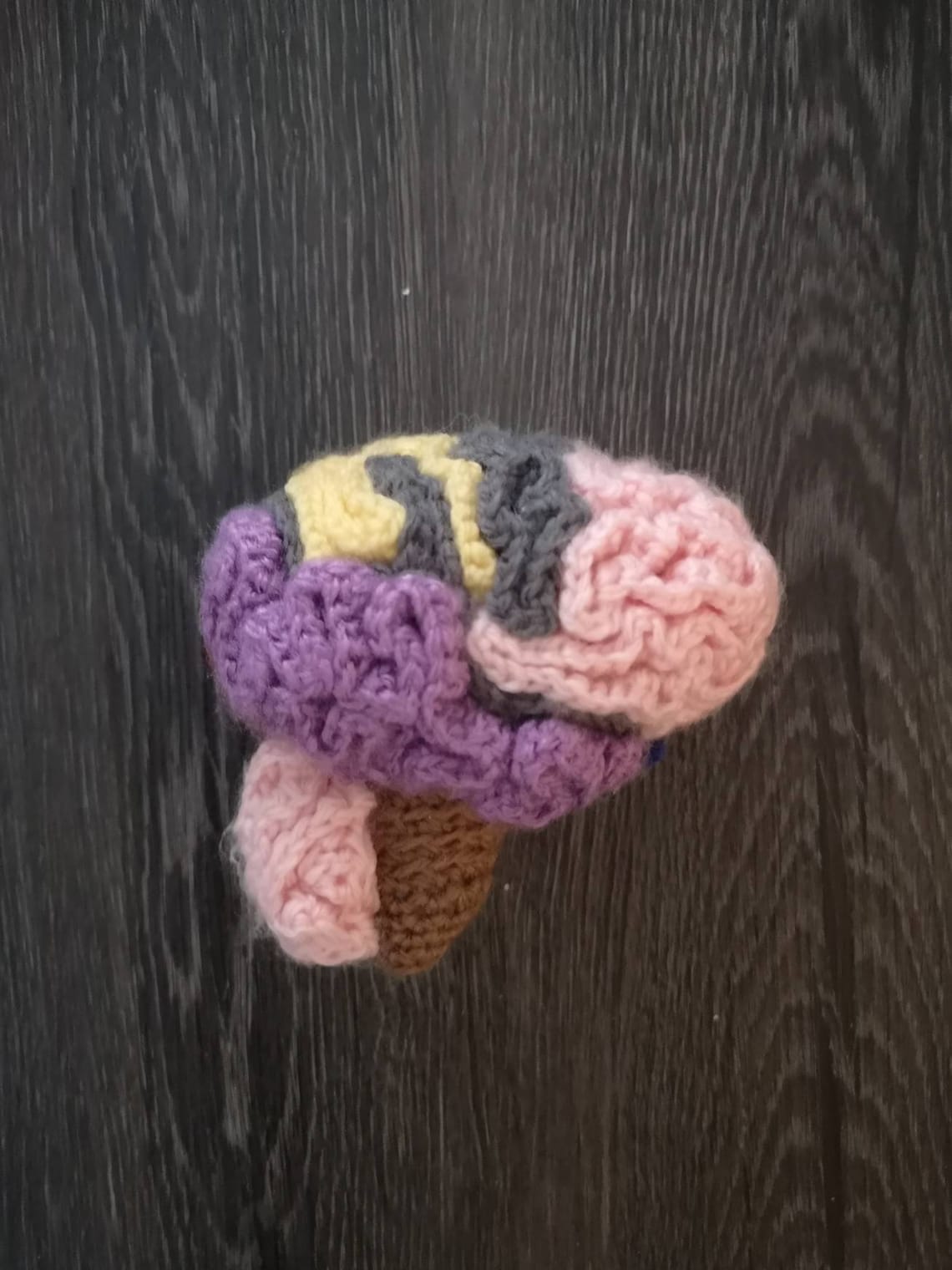 Anatomical Crocheted Brain crocheted brain brain pattern | Etsy