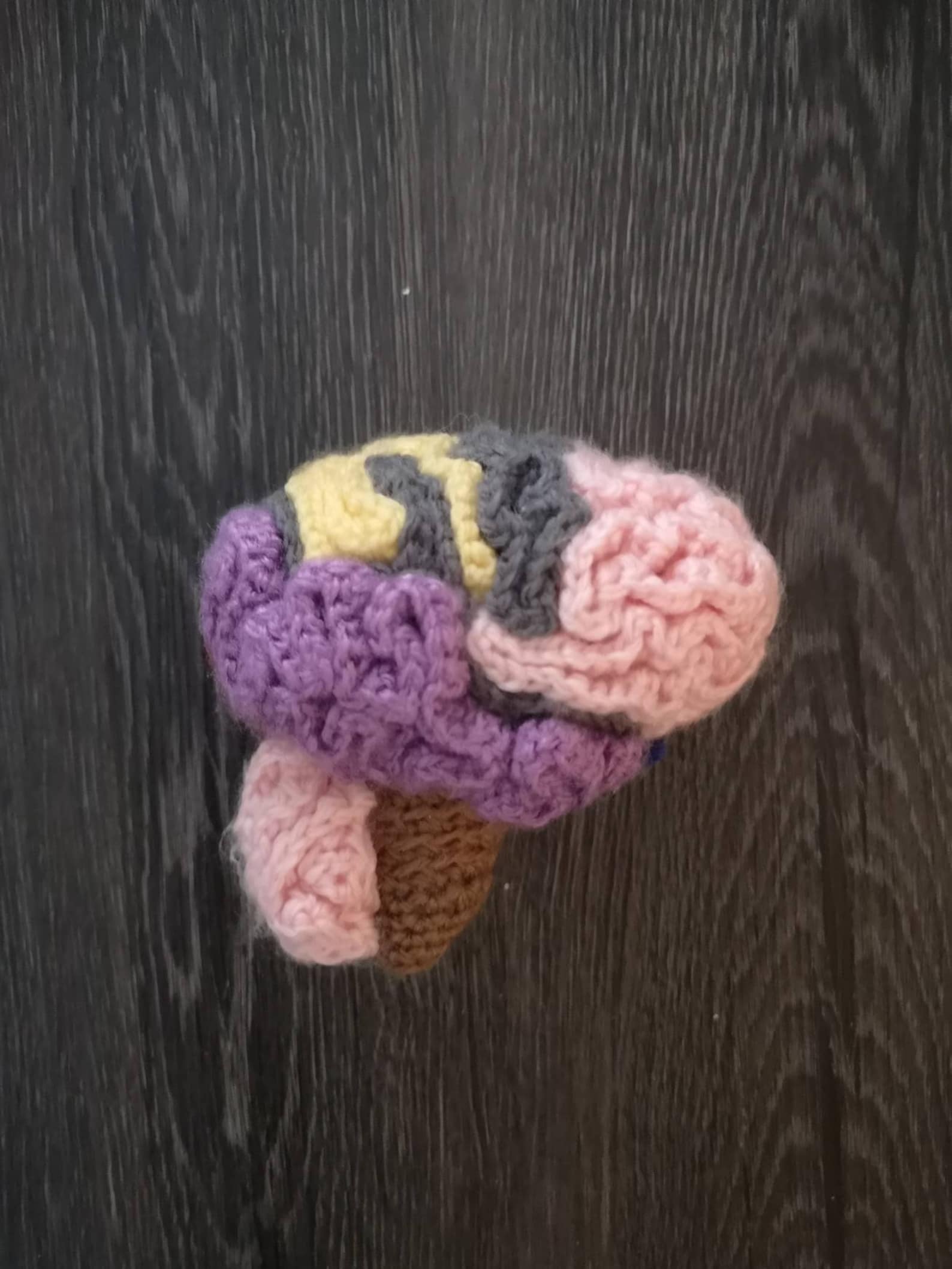 Anatomical Crocheted Brain crocheted brain brain pattern | Etsy