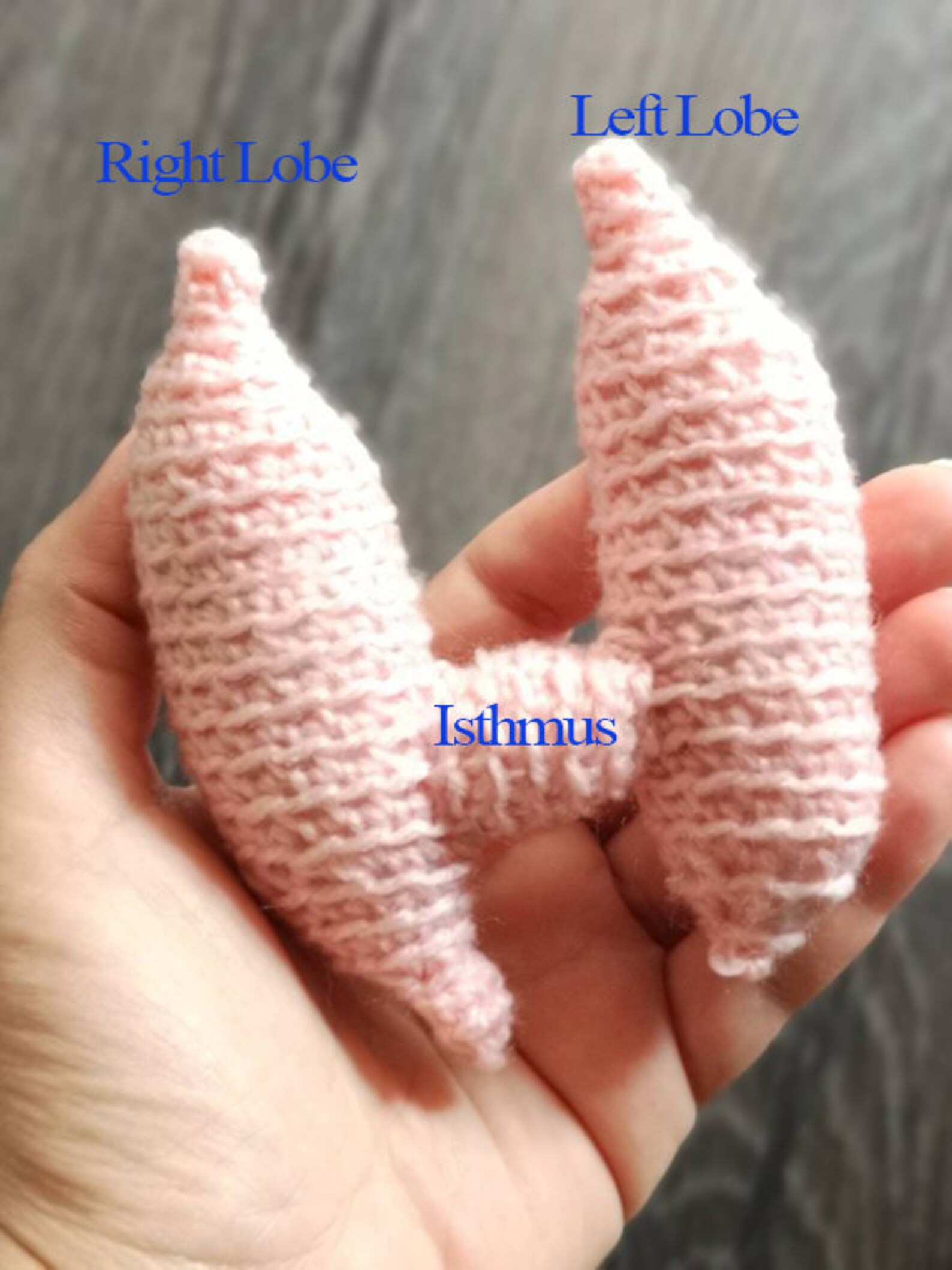 Crocheted Thyroid Pattern, Crochet Pattern, Thyroid, Crocheted Thyroid ...
