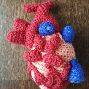 Anatomical Crocheted Heart, Crocheted Heart, Heart Pattern, Crocheted ...