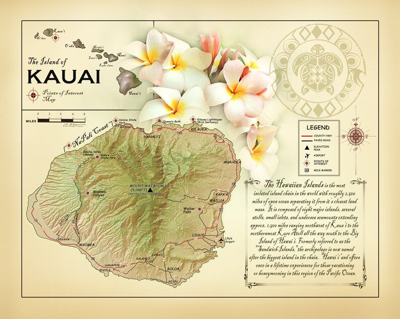 The Island of Kauai "vintage Inspired" Plumeria Map - Etsy