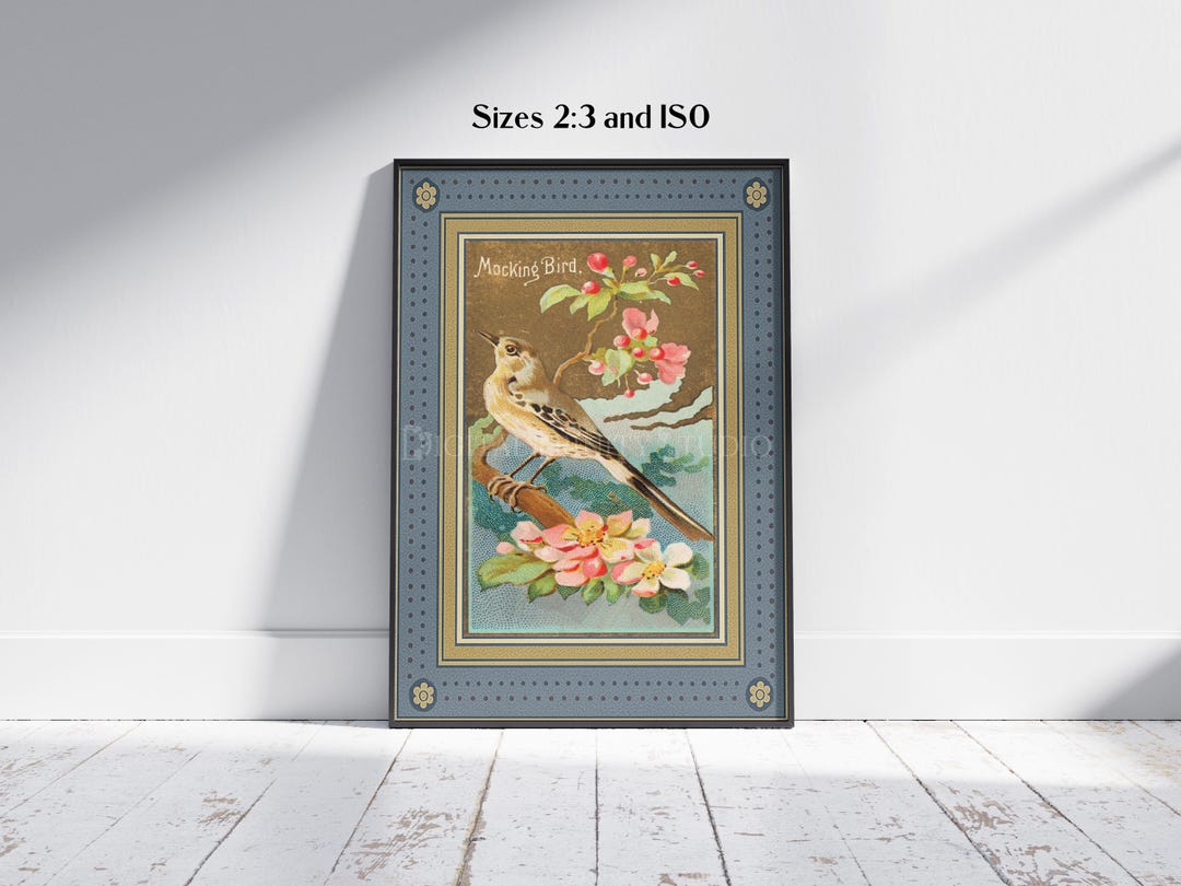 Vintage Mockingbird Print | 1888 Allen Ginter N4 Bird Card Reimagined ...