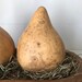 Dried Gourd Fall Decor Set of 2 | Etsy