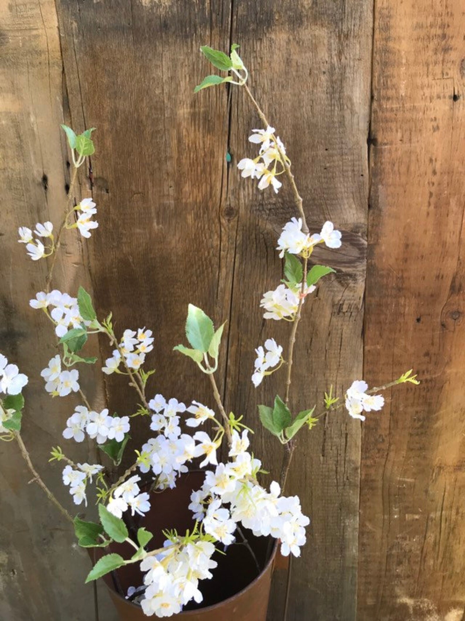 White Flowers in Rusty Meal Bucket Primitive Farmhouse Floral ...