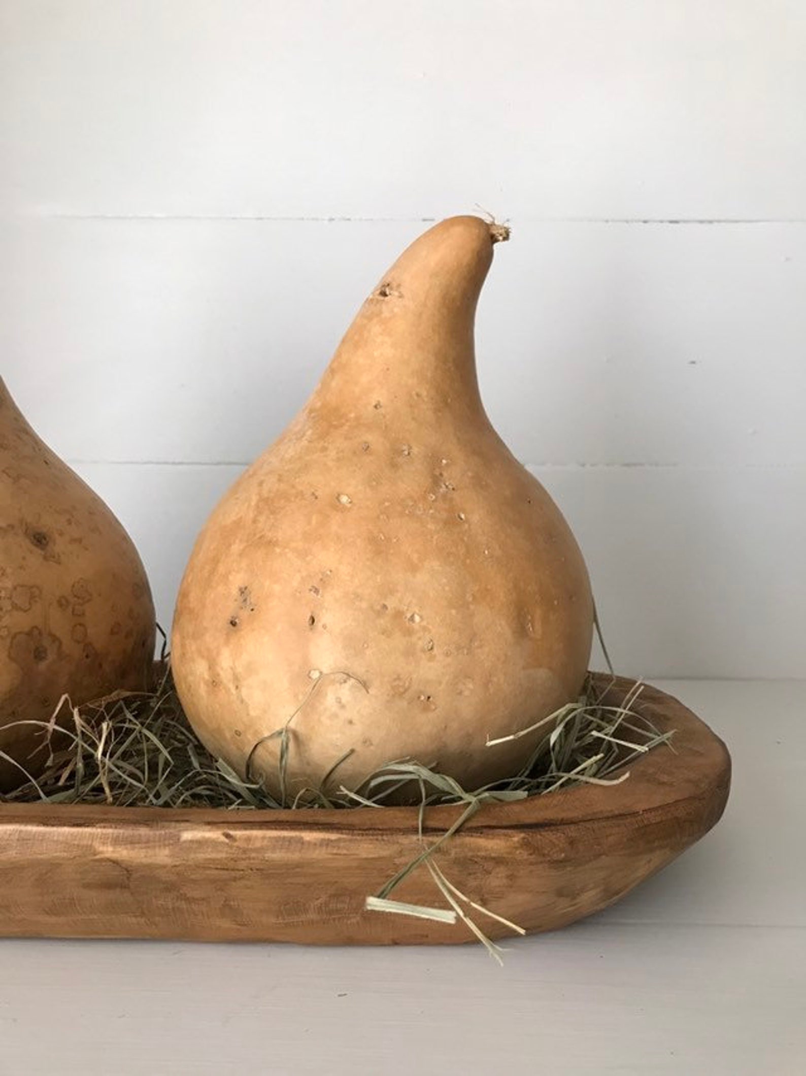 Dried Gourd Fall Decor Set of 2 | Etsy