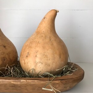 Dried Gourd Fall Decor - Set of 2 - Etsy
