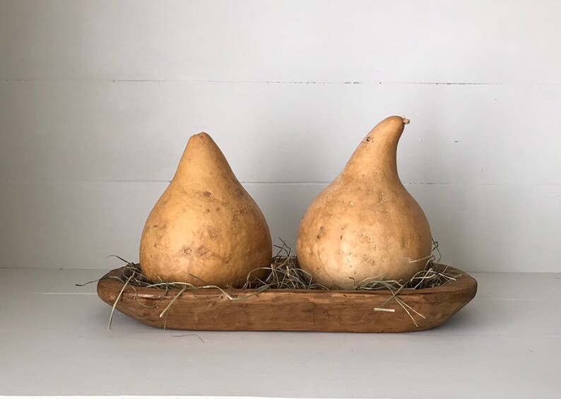 Dried Gourd Fall Decor Set of 2 | Etsy