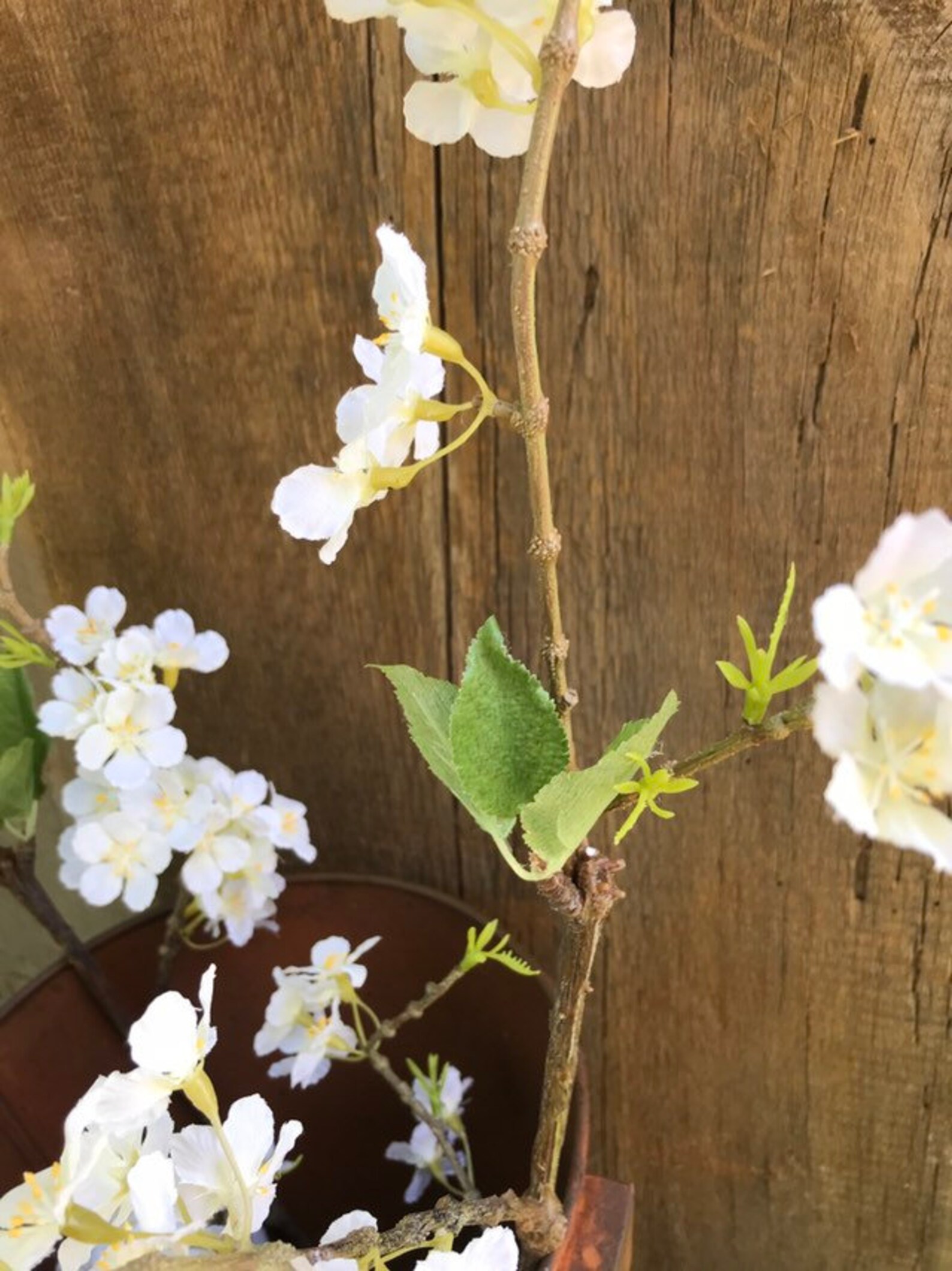 White Flowers in Rusty Meal Bucket Primitive Farmhouse Floral ...