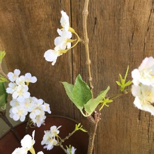 White Flowers in Rusty Meal Bucket Primitive Farmhouse Floral ...