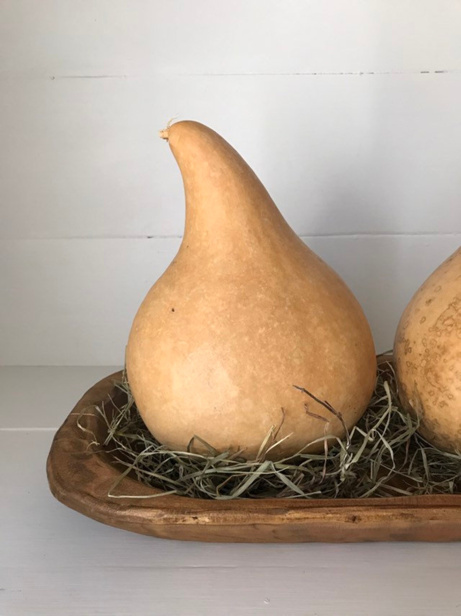 Dried Gourd Fall Decor Set of 2 - Etsy