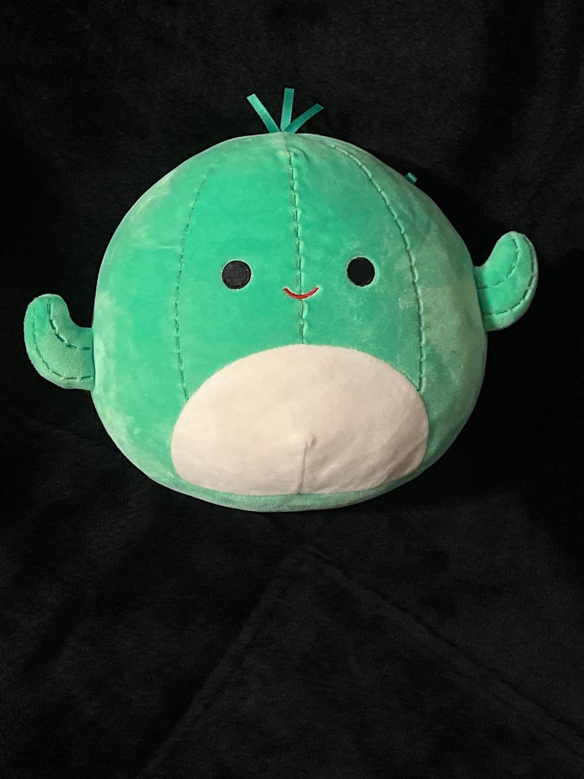 Squishmallows Squish Mallow Kelly Toy: Maritza the Cactus - Etsy