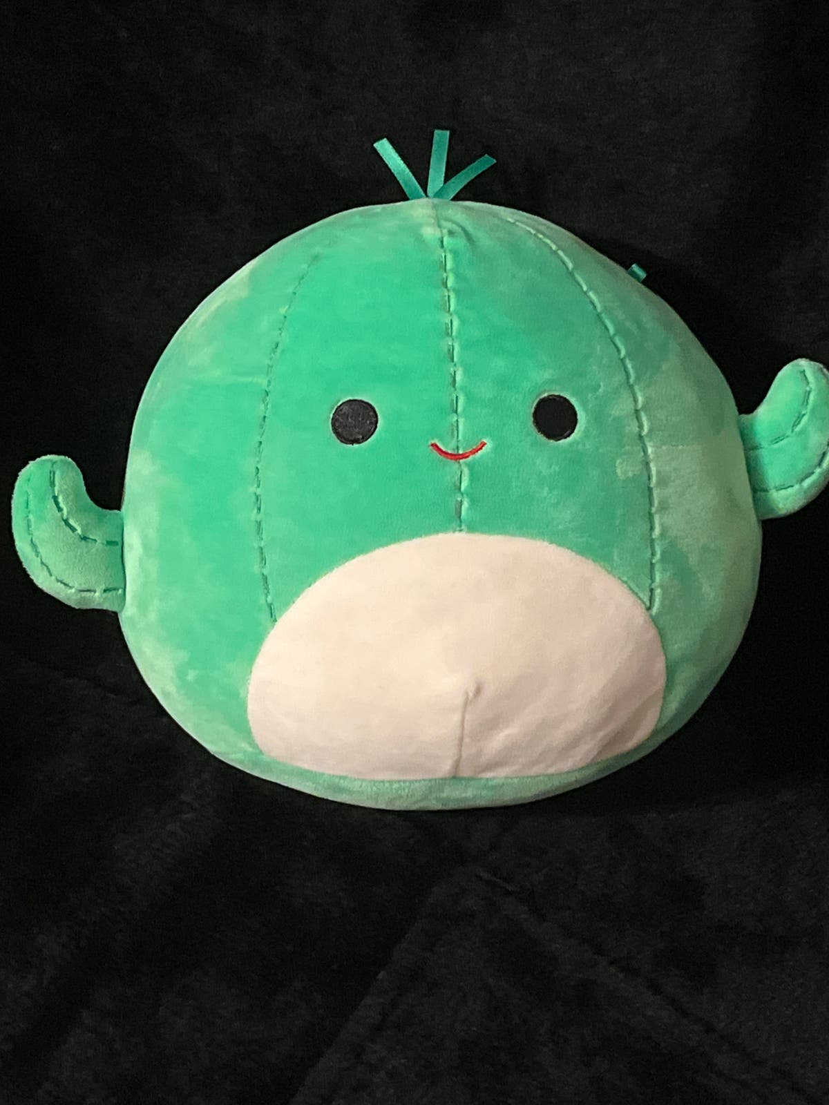 Squishmallows Squish Mallow Kelly Toy: Maritza the Cactus - Etsy