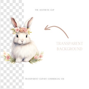 New Baby Clipart Watercolour Spring Baby Pink Newborn PNG Gender Reveal ...