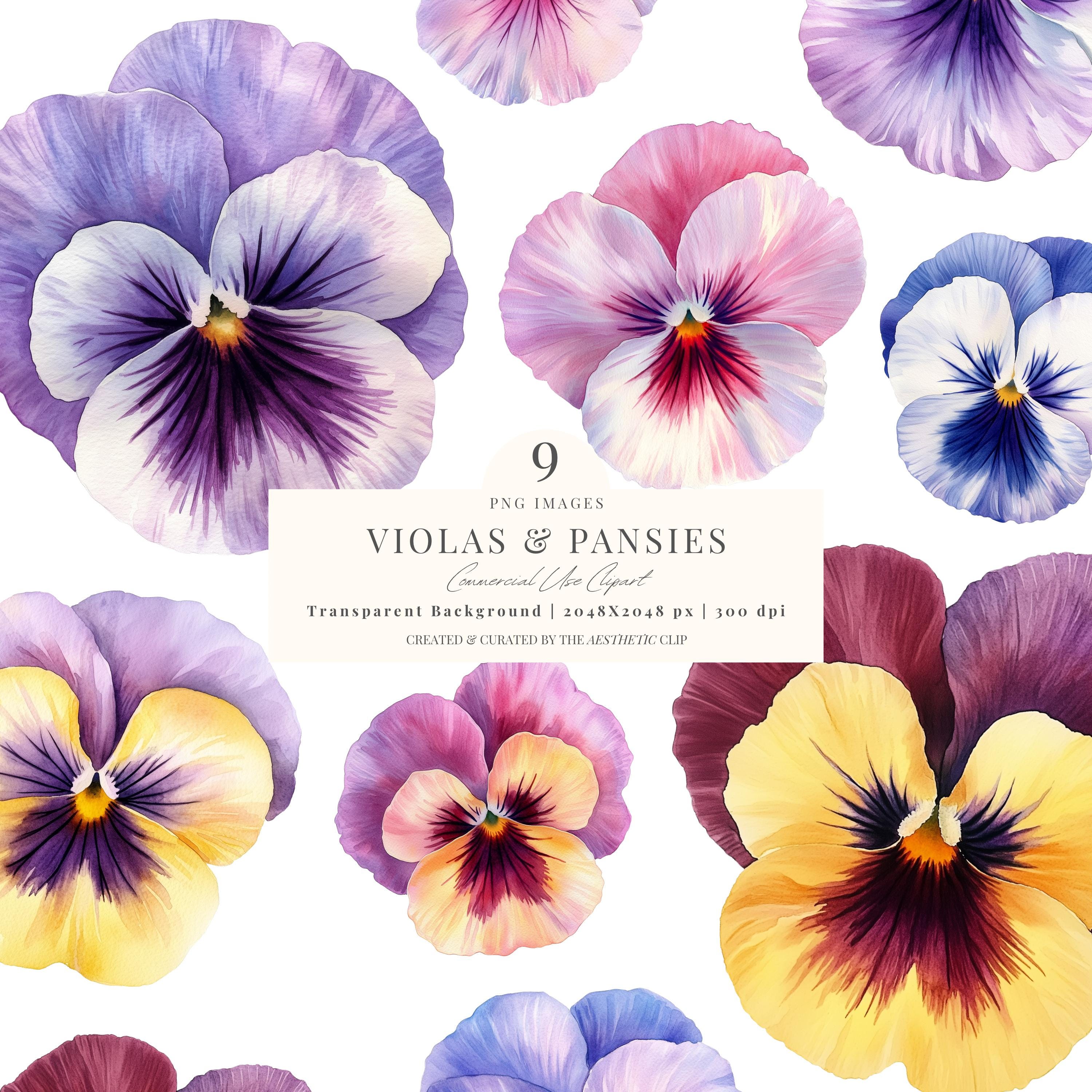 Watercolor Flower Clipart | Pansy PNG | Viola Flowers | Cottage Flowers ...