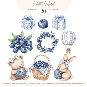 Berry First Birthday | Transparent Png | Blueberry Clipart | Berry ...
