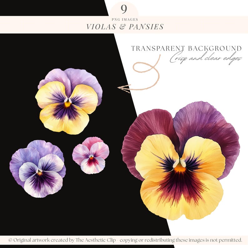 Watercolor Flower Clipart | Pansy PNG | Viola Flowers | Cottage Flowers ...