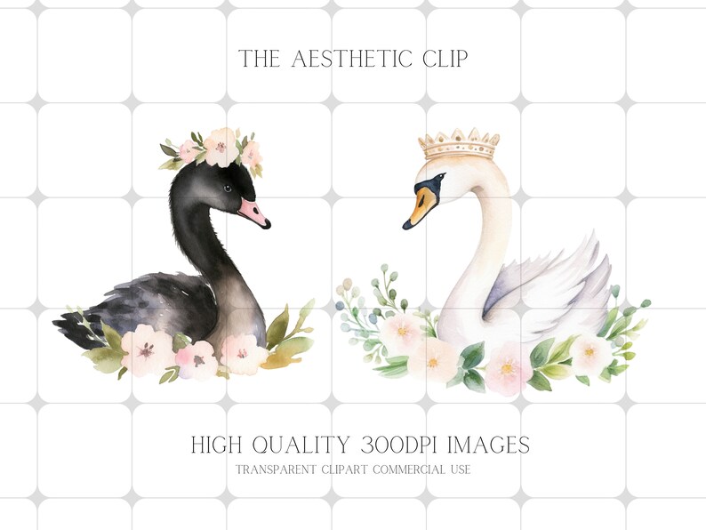 Swan Lake Ballet Clipart Pink Ballet PNG Ballerina Graphic Swan Lake ...