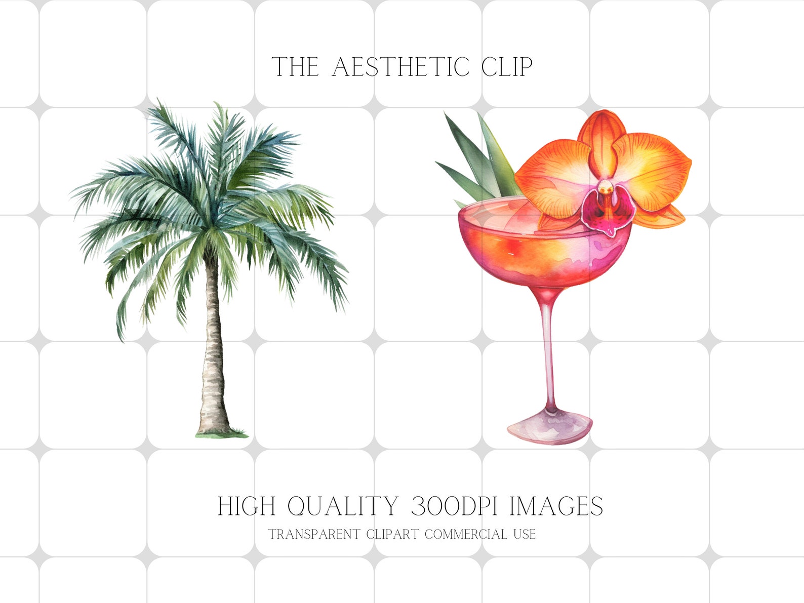 Beach Clipart Summer PNG Tropical Beach Palm Summer Fashion Palm Tree ...