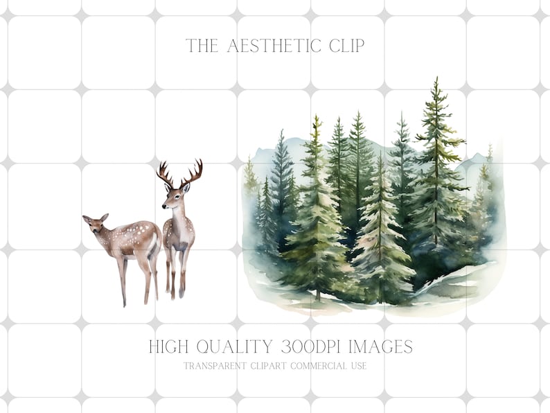 Winter Clipart Snowy Woods PNG Pine Trees Graphic Wintery Christmas ...