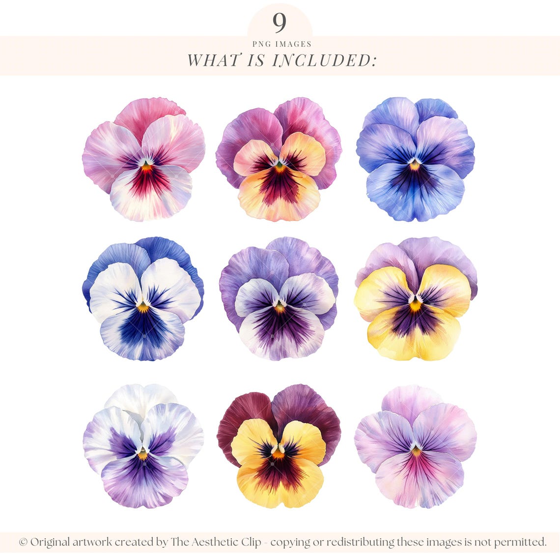 Watercolor Flower Clipart | Pansy PNG | Viola Flowers | Cottage Flowers ...