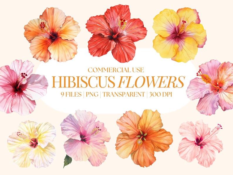 Flower Clipart Tropical PNG Hibiscus Flowers Summer Flowers Clipart ...