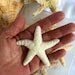 Starfish Soap - Set of 5 - Seastar Soap - Seashell Soap - Beach Soap ...
