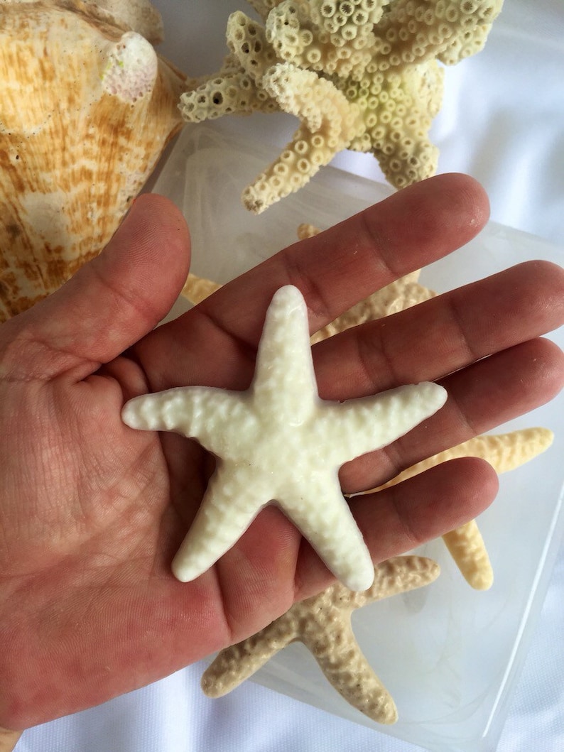 Starfish Soap Set of 5 Seastar Soap Seashell Soap - Etsy