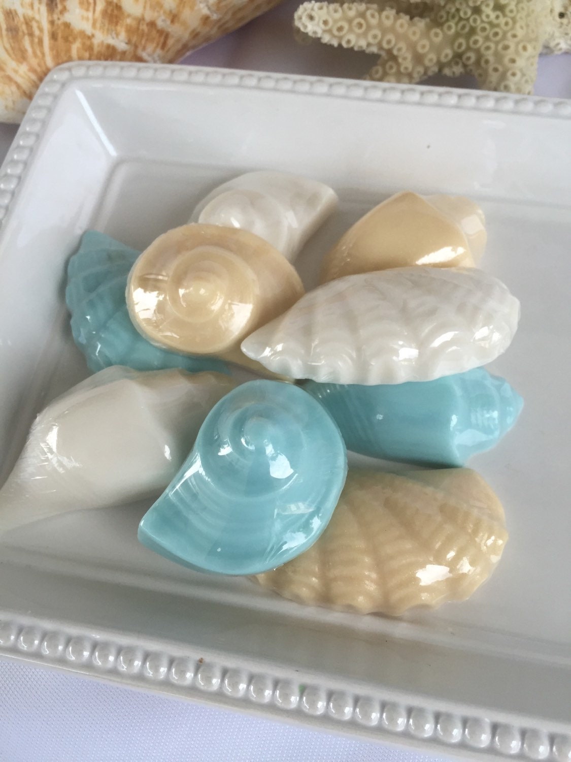 Seashell Soap - Coconut Seashell Soap - Set of 9 Mini Soaps - Mini ...