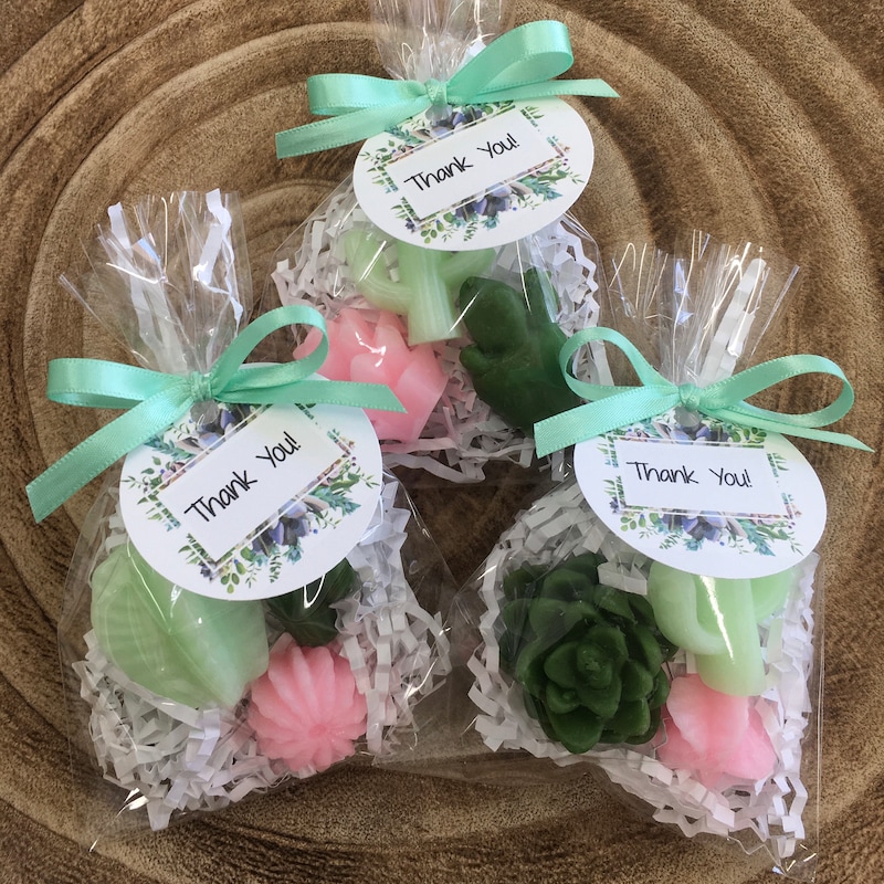 Succulent Party Favors - Etsy