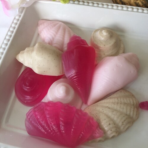 Seashell Soap Coconut Seashell Soap Set of 9 Mini Soaps - Etsy