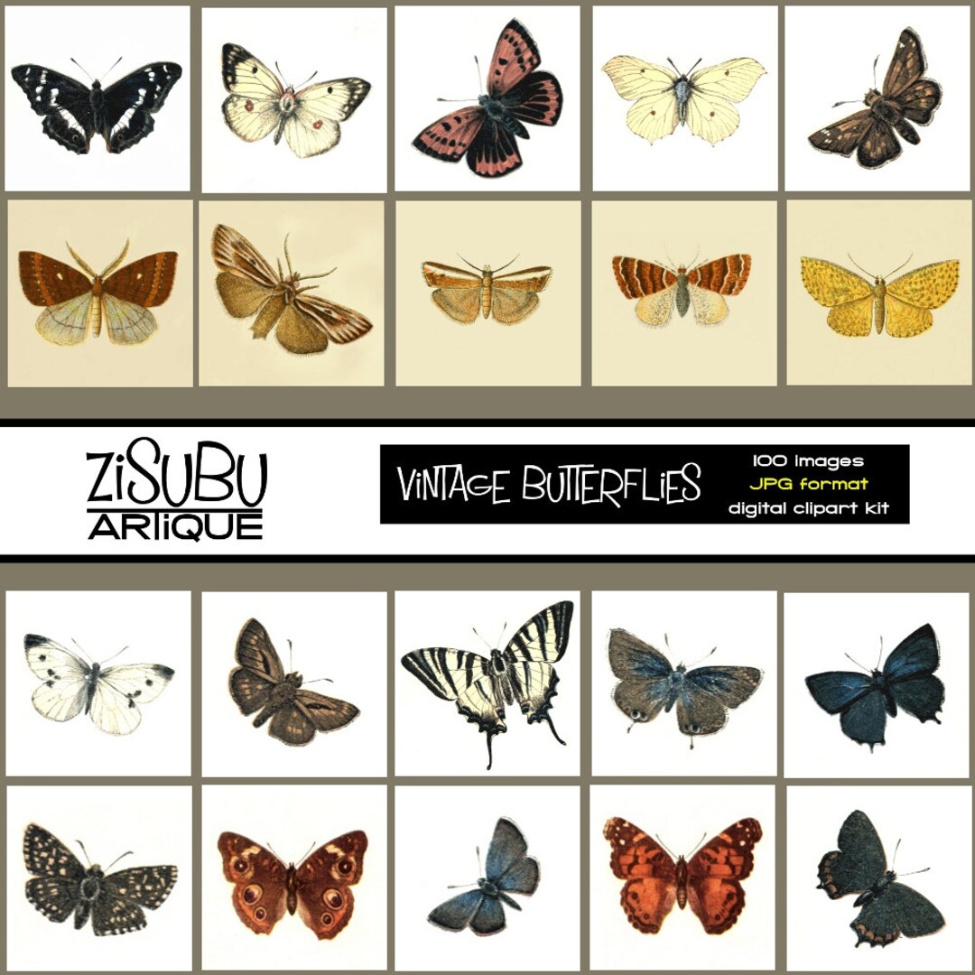 Vintage Butterflies and Moths Clipart -BIG SET - Woodland Creatures ...