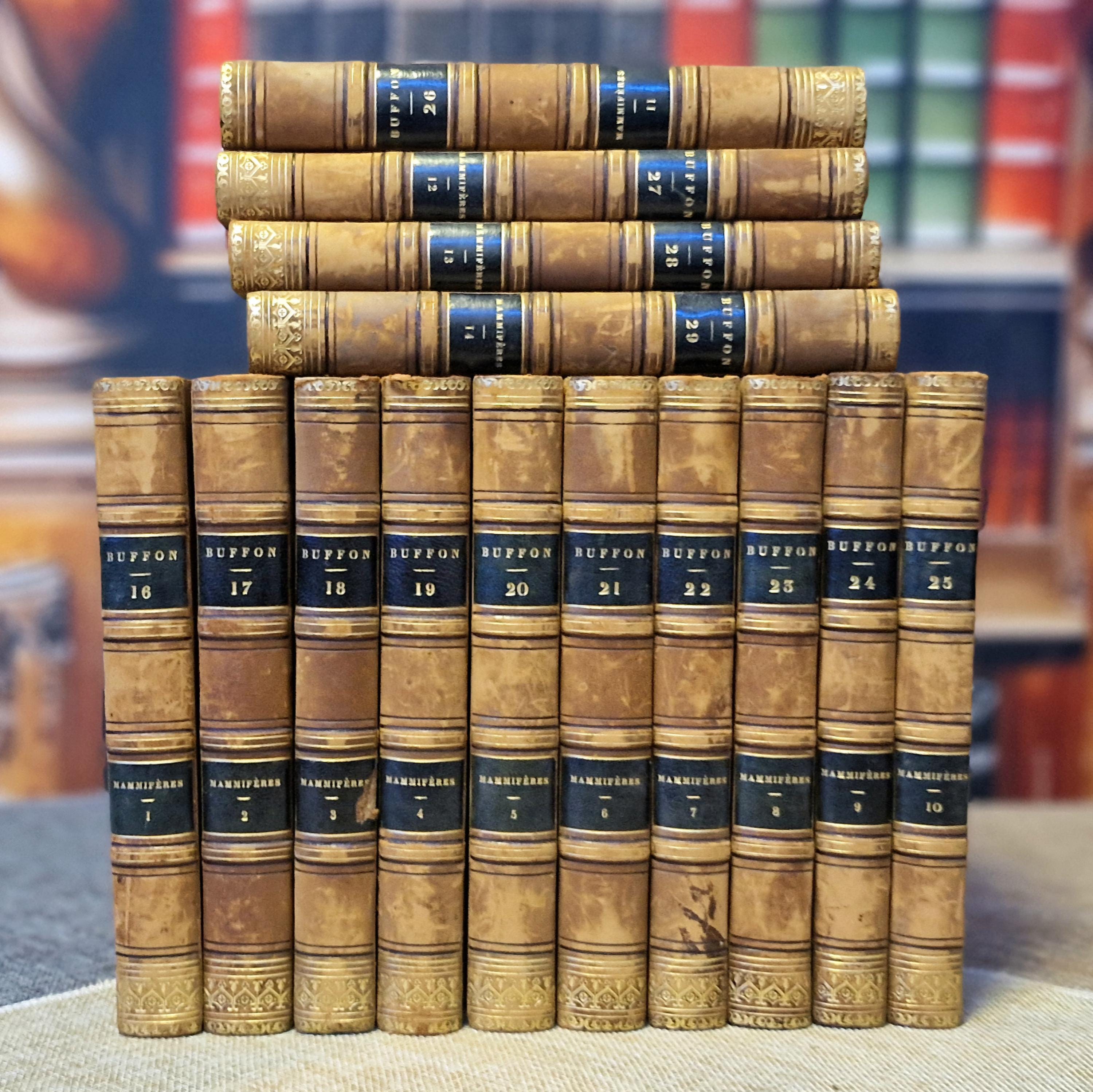Antique French Book Sets, Leather Bound Volumes, Vintage Decorative ...
