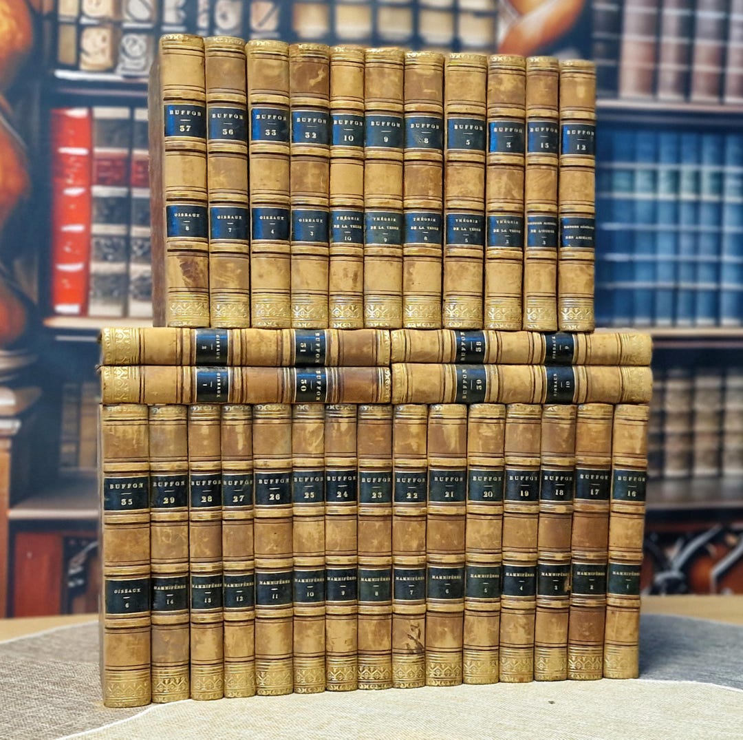 Antique French Book Sets, Leather Bound Volumes, Vintage Decorative ...