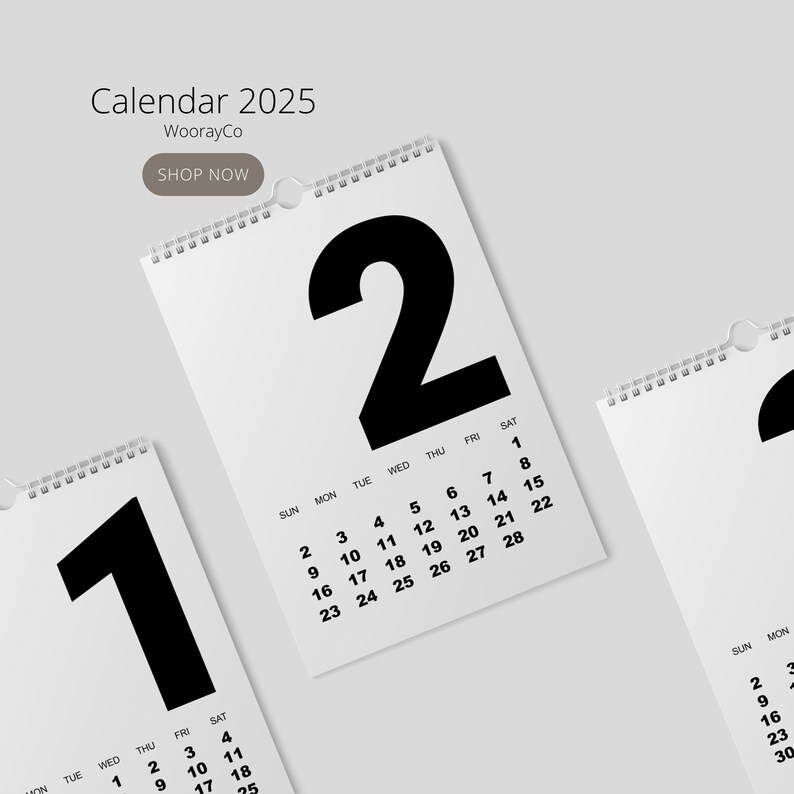 White Minimal Monthly Wall Calendar 2025 | Modern Home and Office ...